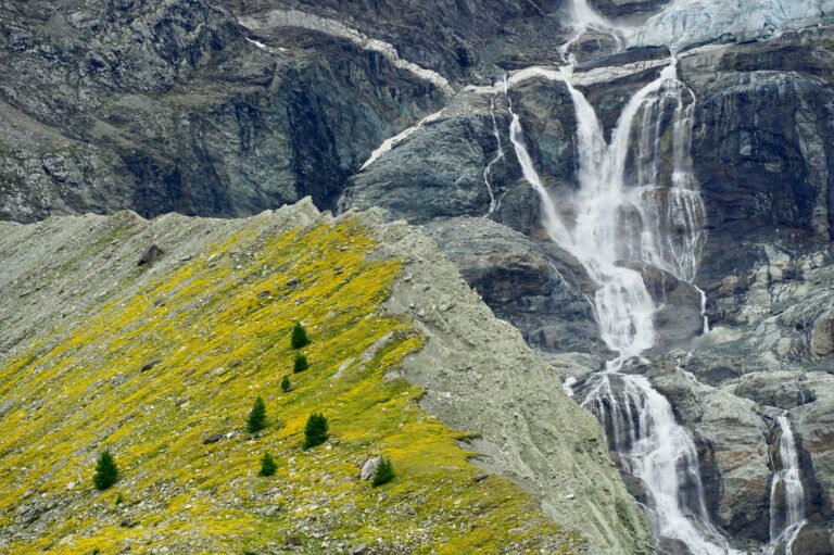 IAG Photo Contest – winner March 2024 – IAG – International Association ...